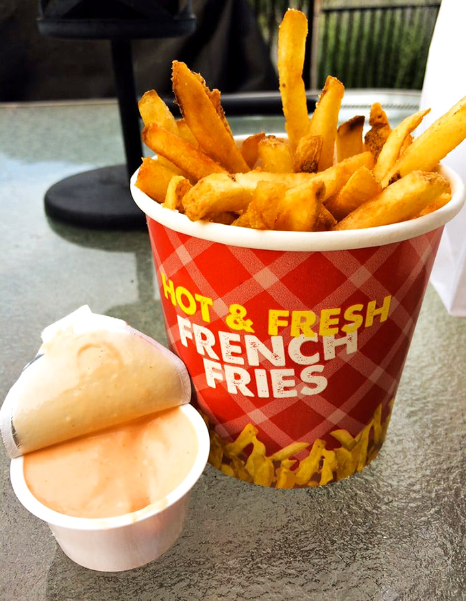 The humble french fry, elevated to art form. These golden treasures come with fry sauce—a combination that proves Idaho understands potato destiny better than anyone.