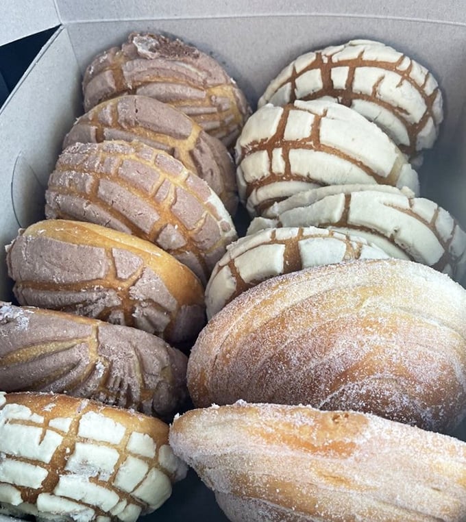 Conchas lined up like edible works of art, their distinctive sugar-shell patterns promising a perfect companion to morning coffee.