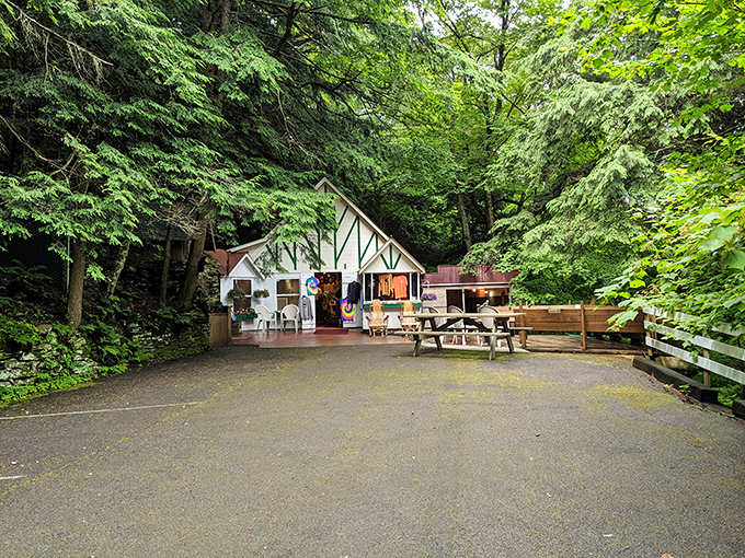 Tucked into the forest like something from a fairy tale, the Coudersport Ice Mine visitor center invites explorers to discover one of nature's most puzzling phenomena.