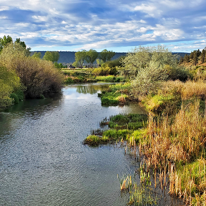 The Crooked River meanders through town like a lazy Sunday afternoon, offering peaceful reflections and prime fishing spots.