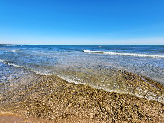 Crystal clear waters reveal Lake Michigan's secrets with every gentle wave. Like looking through nature's window into an underwater world most people never notice.