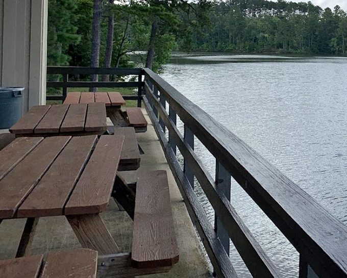 Lakeside dining with a million-dollar view. This picnic spot offers the kind of waterfront seating fancy restaurants try desperately to replicate.