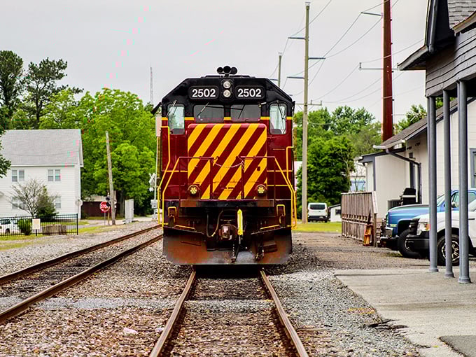 All aboard nostalgia! Delmarva Central Railroad's engines rumble through town, connecting Harrington to its transportation heritage while locals wave from porches.