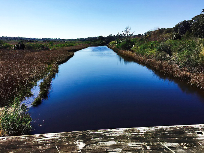 Egan's Creek Greenway offers the kind of mirror-like water reflection that photographers dream about. Nature doesn't need Instagram filters when it looks this good naturally.