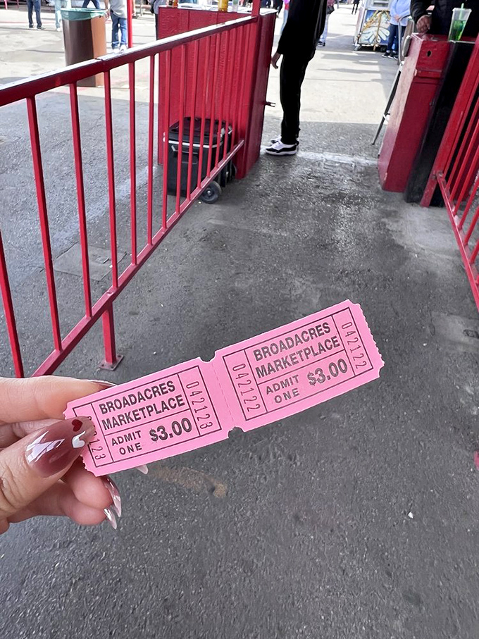 The pink ticket that unlocks a world of possibilities. Three dollars might be the best investment in entertainment since Netflix.