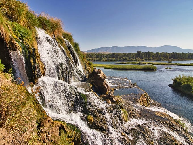 Fall Creek Falls cascades with the confidence of nature showing off. Water doesn't flow here so much as it dances, creating a soundtrack you can't download anywhere.