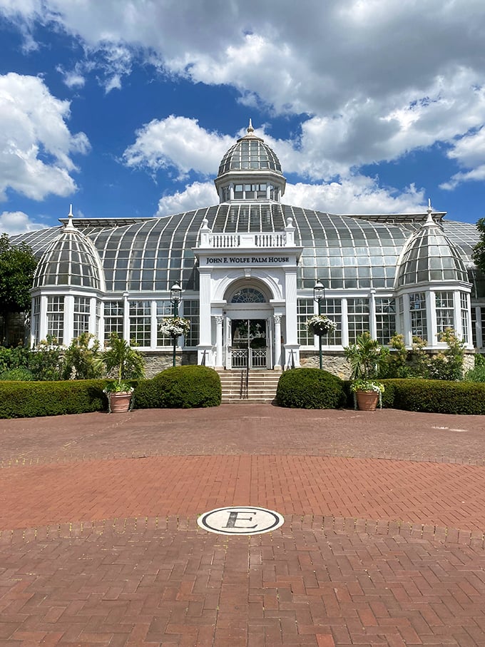 The Franklin Park Conservatory stands like a Victorian dream. This glass palace houses botanical treasures that make you forget you're in the Midwest, not some tropical paradise.