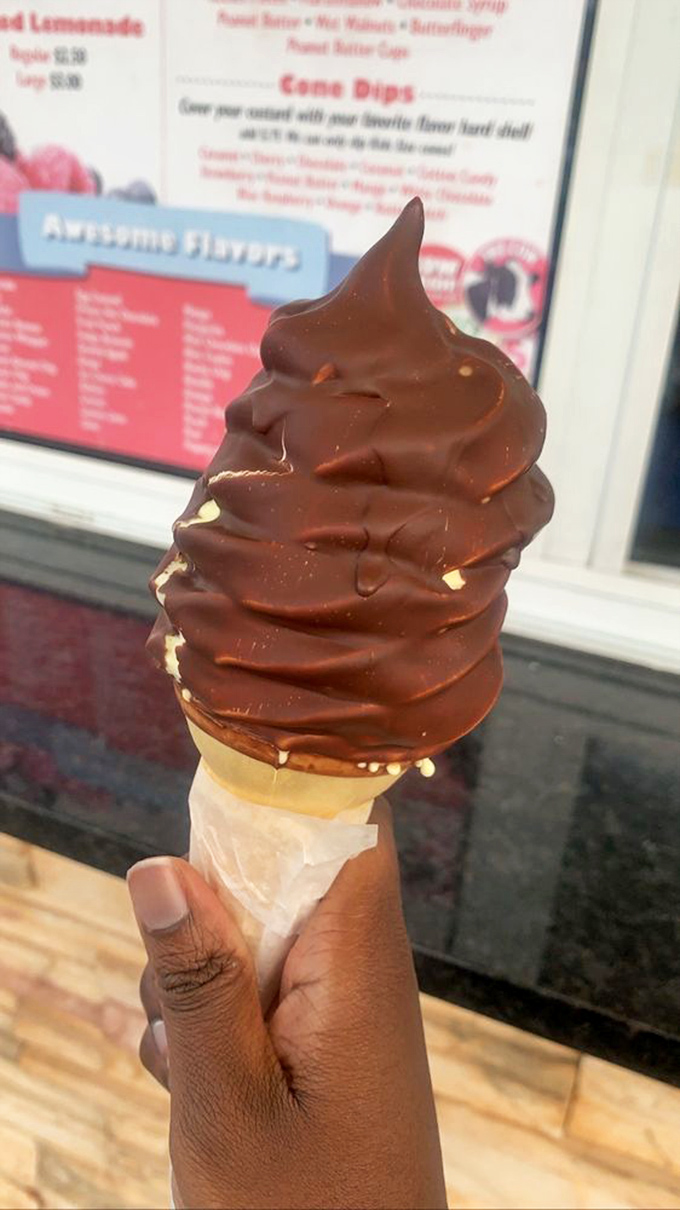 Chocolate-dipped perfection that makes you wonder why you'd ever settle for ordinary ice cream again. Worth every sticky finger.