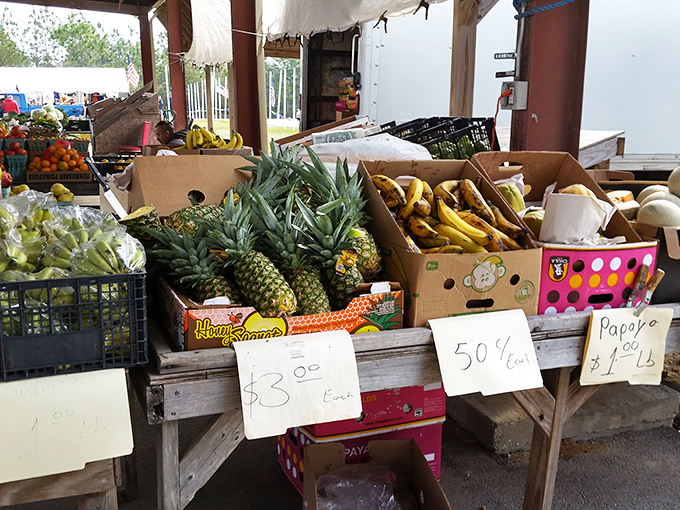 Nature's candy display! When fruit comes with handwritten price tags, you know you're getting the real deal.