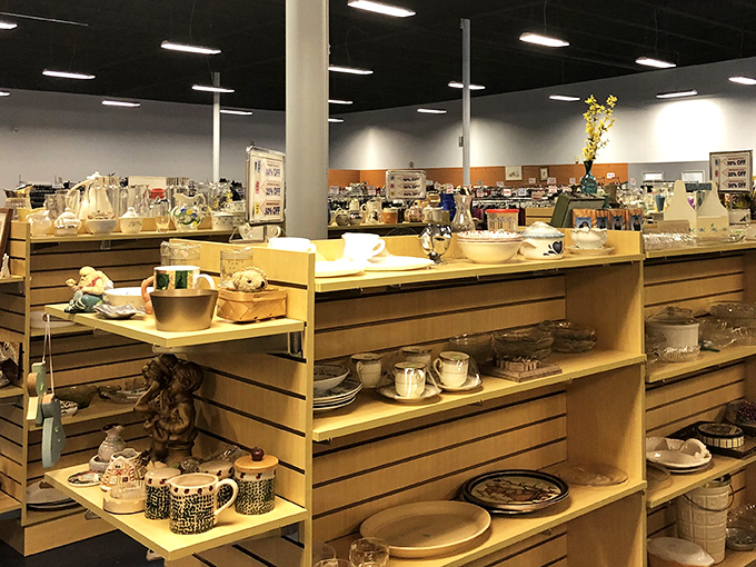 Dishes with more previous lives than a Buddhist monk. Each plate and bowl holds memories of family dinners past.