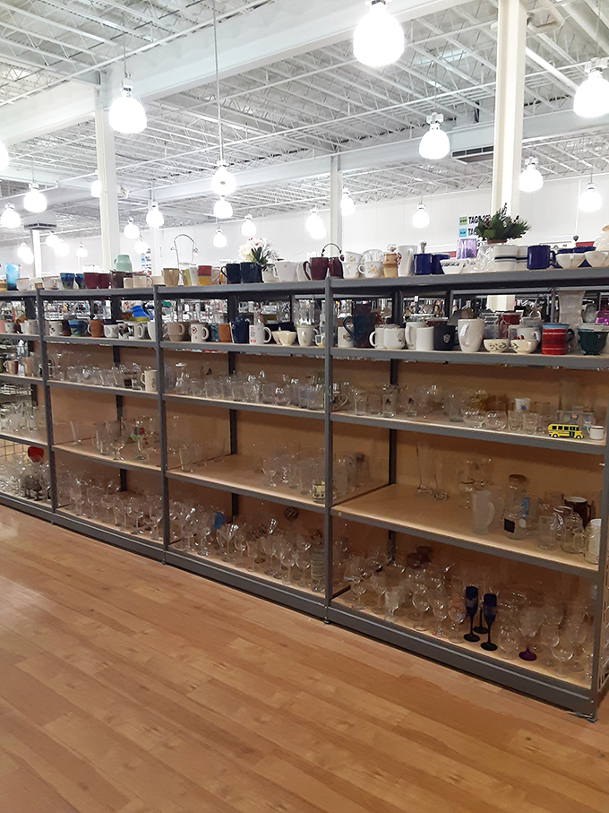 Crystal kingdom! Enough glassware to host everything from royal tea parties to neighborhood potlucks with unexpected elegance.