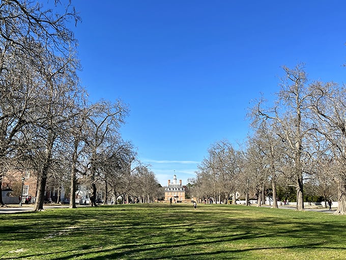 The expansive green mall stretches toward the Capitol building, a colonial-era social media platform where ideas spread without anyone asking about your Wi-Fi password.