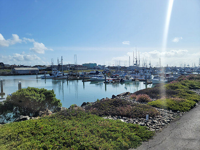 Eureka's working harbor isn't just pretty &ndash; it's the source of that impossibly fresh seafood you'll be raving about to friends back home. 