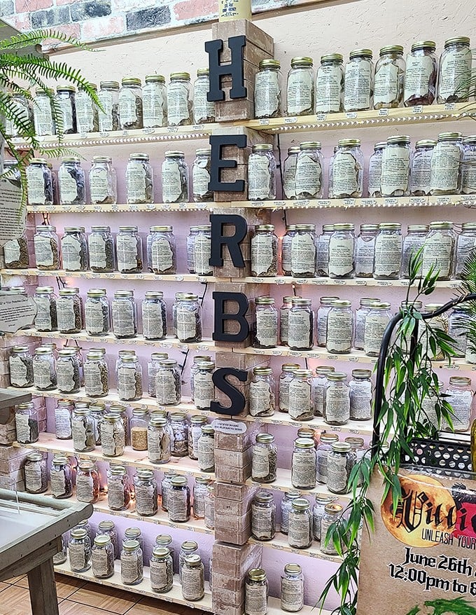 Apothecary of the modern age. Mason jars line up like soldiers, each containing nature's remedies waiting to be discovered.