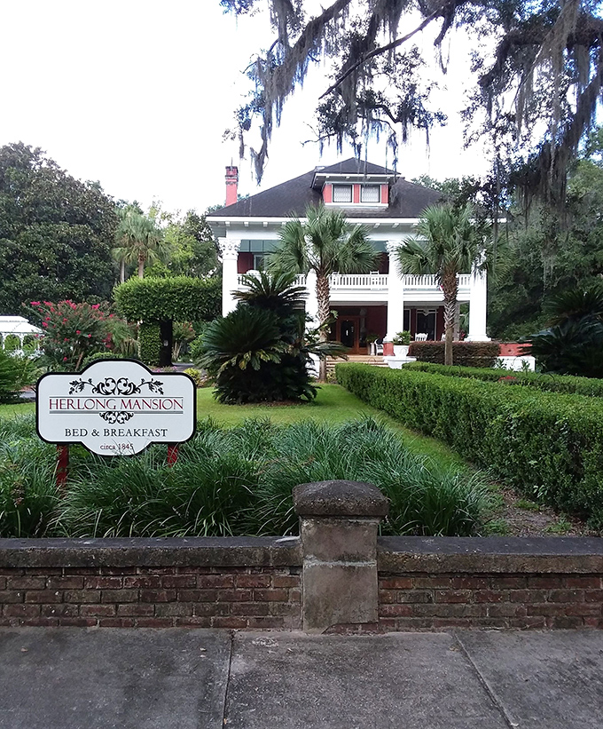 The Herlong Mansion B&B offers Southern grandeur without the snobbery – those columns aren't just holding up the porch, they're holding up traditions.
