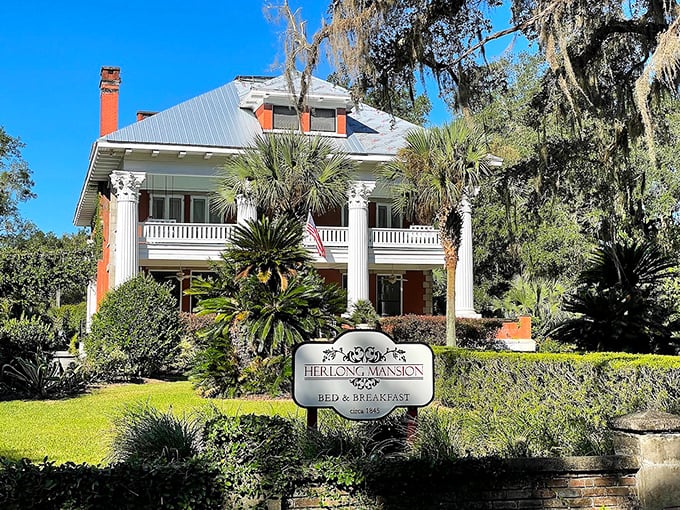 Herlong Mansion's stately columns and manicured gardens whisper tales of Florida's agricultural boom years, when citrus was king and front porches were social media.