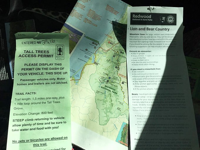 Your golden ticket to tree paradise. This humble permit is more valuable than front-row seats at the Oscars for nature lovers.