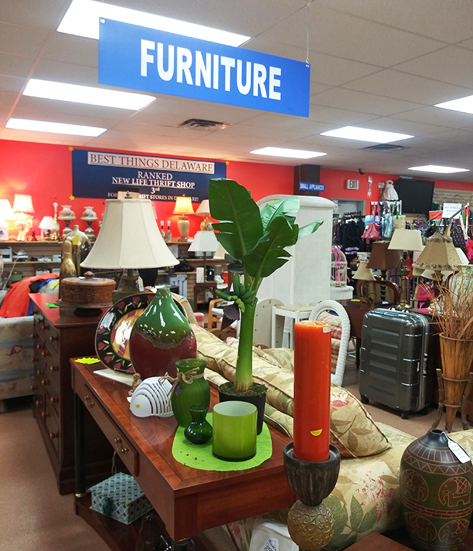 The furniture section boasts enough lamps to illuminate a small village and enough character to furnish a Wes Anderson film set.