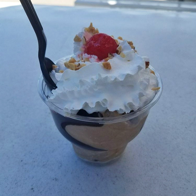 A sundae that understands the assignment. Creamy custard topped with whipped cream, nuts, and a cherry&mdash;dessert architecture at its finest.