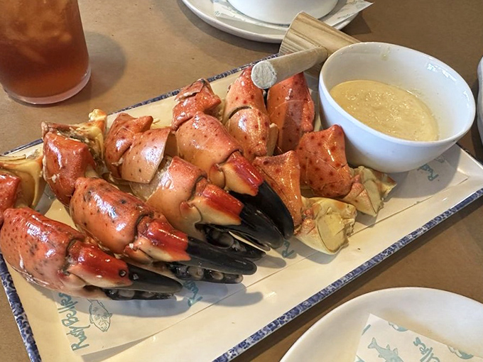 Stone crab claws so impressive they deserve their own business cards. Nature's perfect design meets Florida's perfect preparation&mdash;just add butter and gratitude.