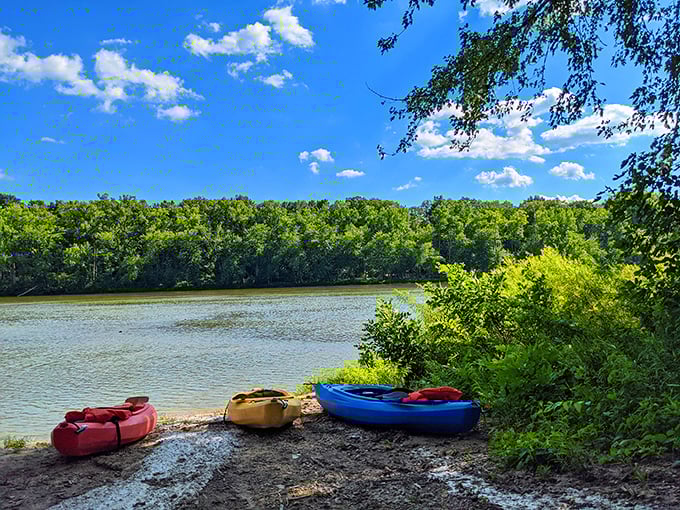 Primary colors against nature's palette. These kayaks wait patiently for their next adventure, like bright candies scattered along the riverbank.