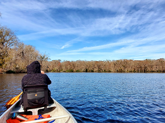 The water highway offers the best seat in the house. Paddling here feels like gliding through a living postcard of Old Florida.