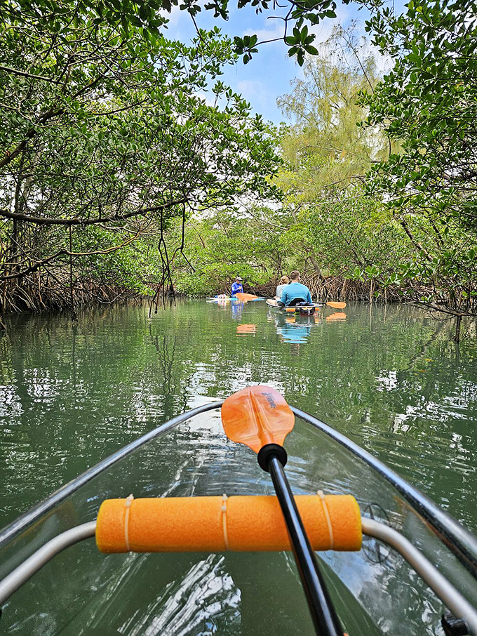 Mangrove tunnels create nature's secret passageways. Kayaking here feels like discovering a hidden chapter of Florida that most tourists never read.