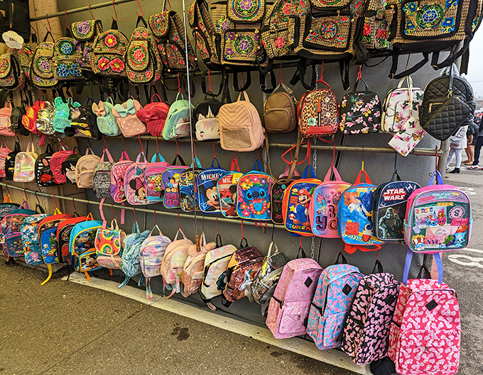 Back-to-school shopping with personality! These vibrant backpacks transform mundane Monday mornings into walking statements of kid-approved style.