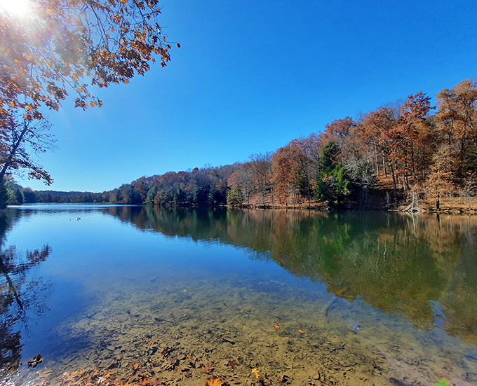 Mirror, mirror on the water—Rose Lake reflects autumn's fashion show with a serenity that makes meditation apps obsolete.