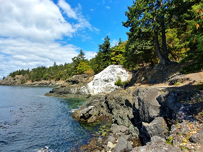 Lime Kiln Point's rugged shoreline is Mother Nature showing off her best angles, with rocky outcroppings that look like they were arranged by a geological artist.