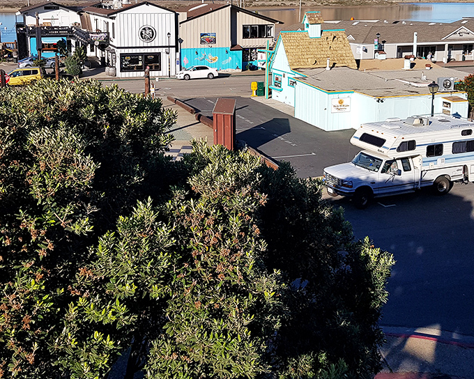 Waterfront businesses line the Embarcadero, where coastal living means parking your pickup next to shops selling everything from saltwater taffy to marine antiques.