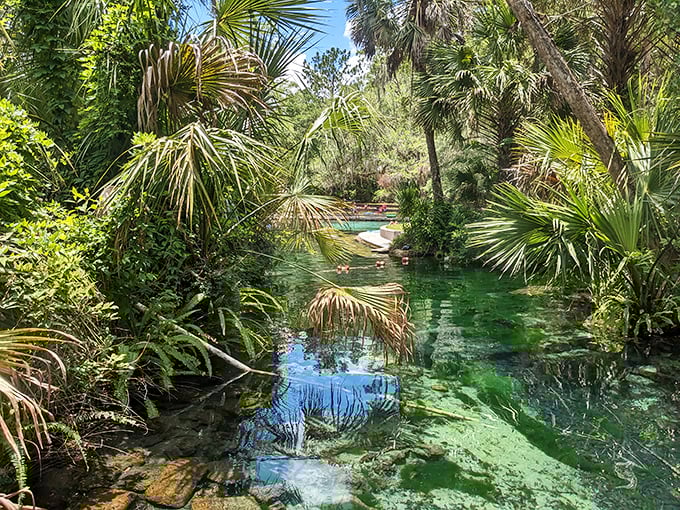 A waterway so pristine it looks like nature's version of a resort infinity pool, minus the overpriced cocktails and techno music.