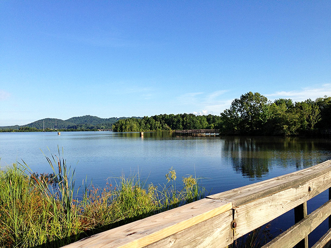 Mirror-like waters of Neely Henry Lake reflect clouds that seem to be auditioning for a Bob Ross painting. Serenity now, indeed!