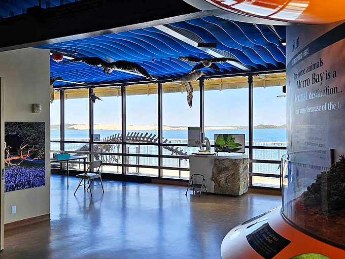 The Museum of Natural History brings the outdoors inside. Like having David Attenborough narrate your afternoon, but with better views of the bay.