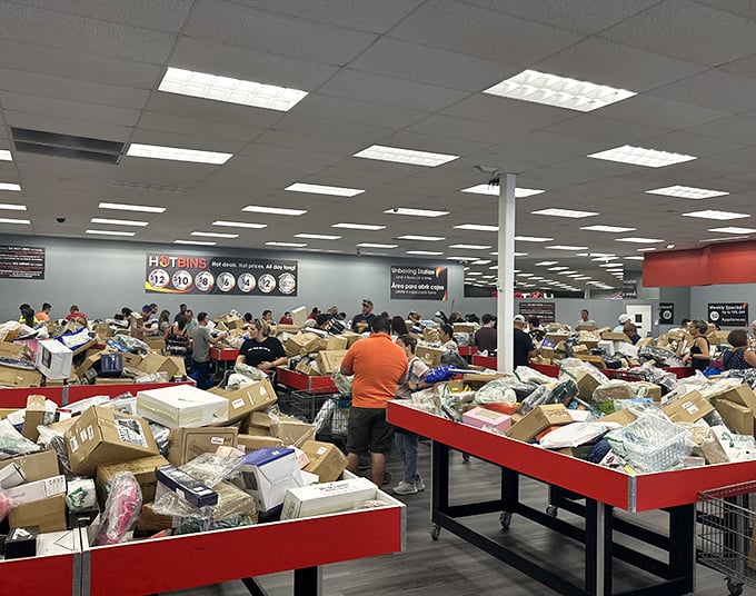 LED lights, air fryers, and pressure cookers, oh my! Electronics and kitchen gadgets often make surprise appearances at prices that seem like typos. 