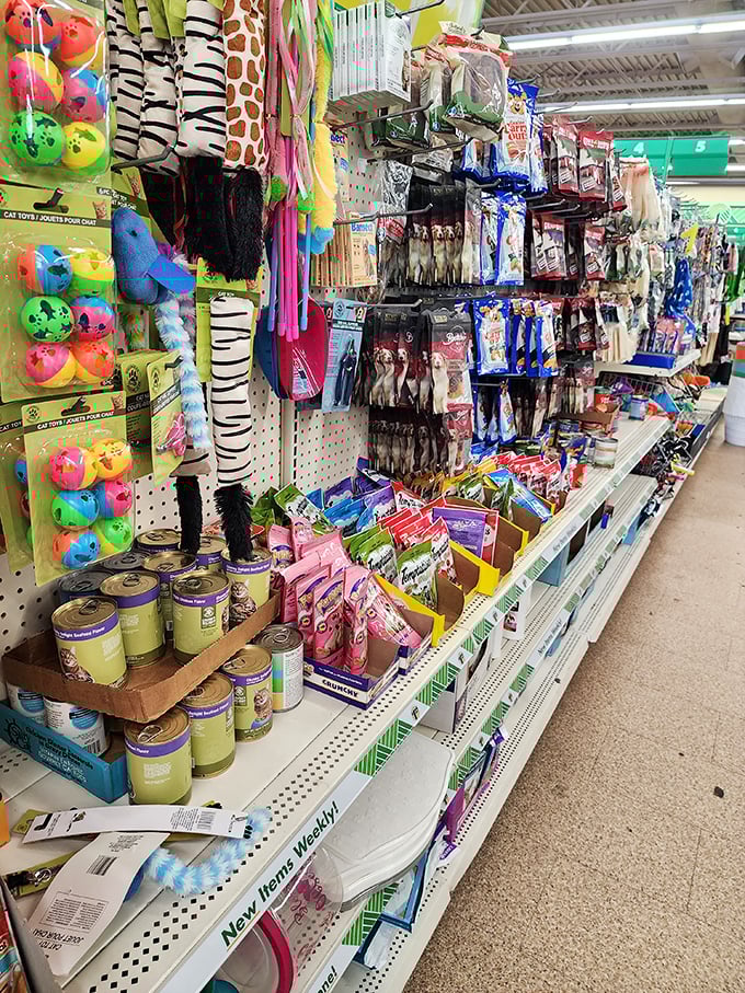 Pet parents rejoice! From colorful toys to treats, this aisle proves that four-legged family members deserve affordable luxuries too.