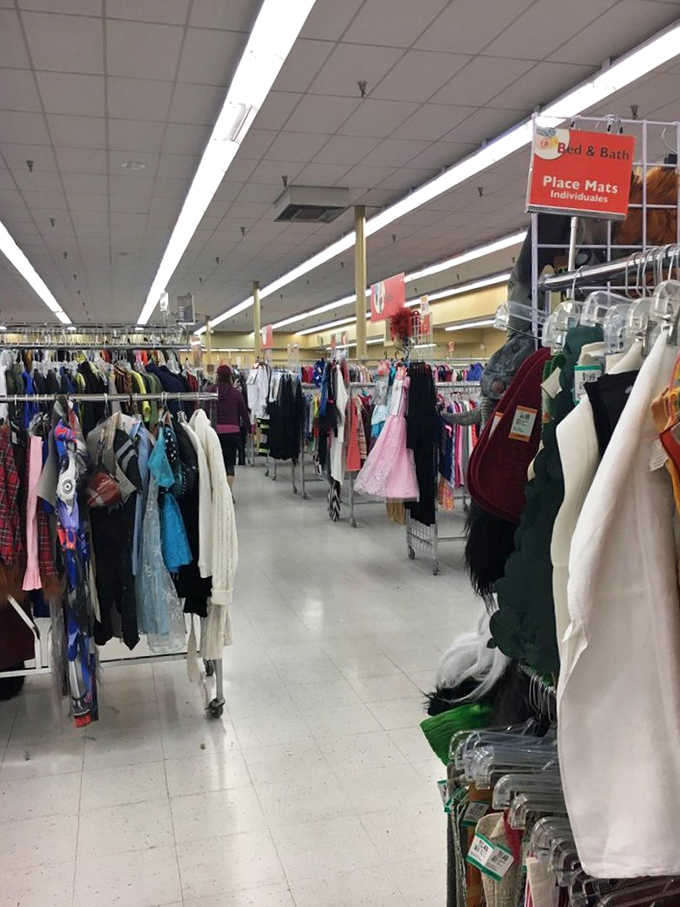 Halloween costumes in July? Christmas decorations in March? The seasonal section plays by its own delightfully chaotic rules.