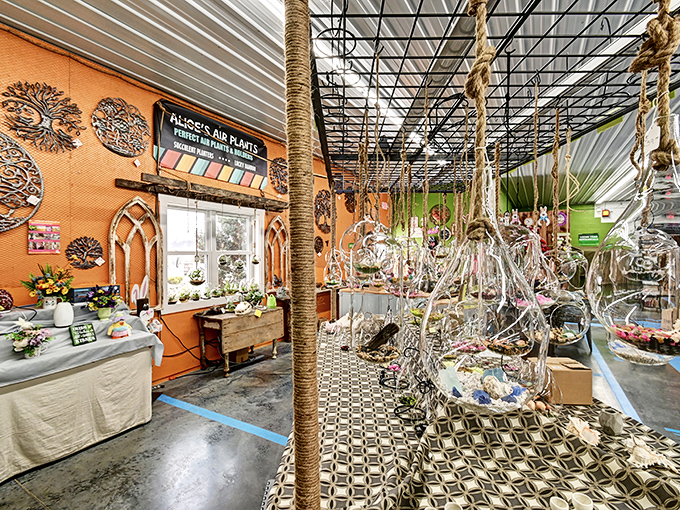 Alice's Air Plants transforms ordinary spaces into hanging gardens of whimsy. Even brown-thumbed shoppers can't resist these low-maintenance beauties.