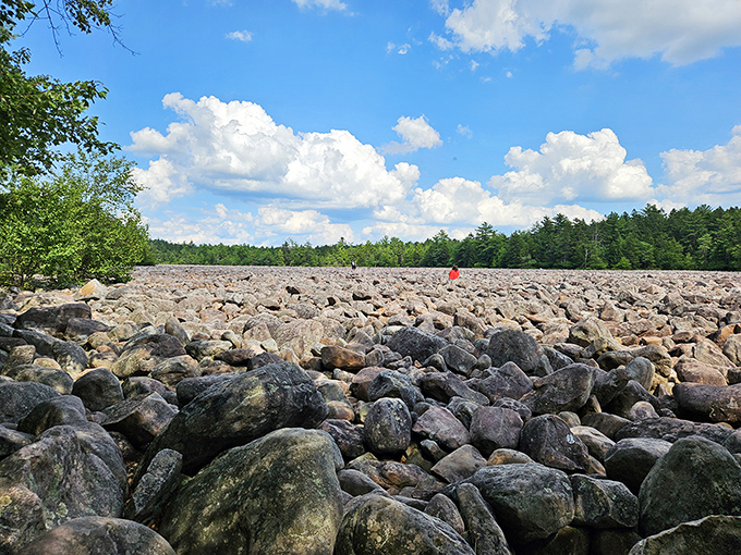 Boulder Field stretches out like nature's jigsaw puzzle&mdash;16 acres of "how did this get here?" that will have amateur geologists theorizing for hours.