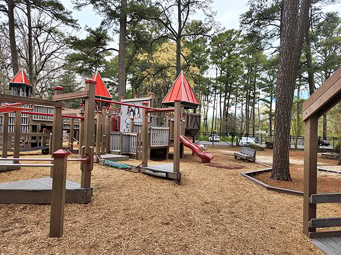 Family fun doesn't need a hefty price tag. Salisbury's playground facilities provide entertainment for the little ones while giving grandparents' wallets a much-needed break.