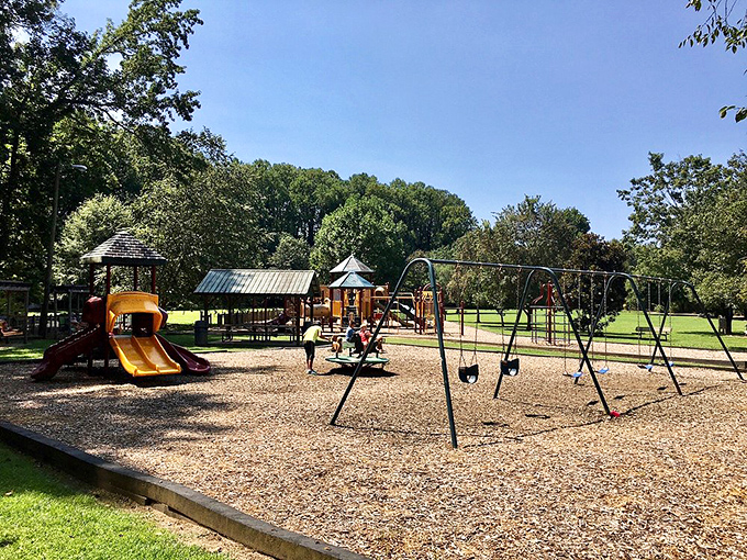 Childhood memories are made at Sam Pitts Park, where the swings still go just as high and the laughter echoes just as sweetly.