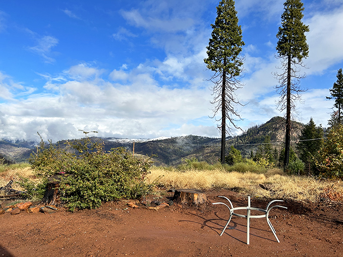 Mother Nature's living room view. Those towering pines frame the distant mountains like nature's own masterpiece.
