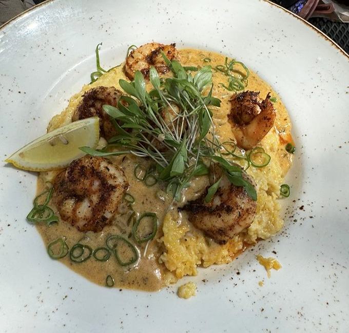 These blackened shrimp aren't just resting on those creamy grits—they're holding court, surrounded by their loyal subjects of scallions and sauce.