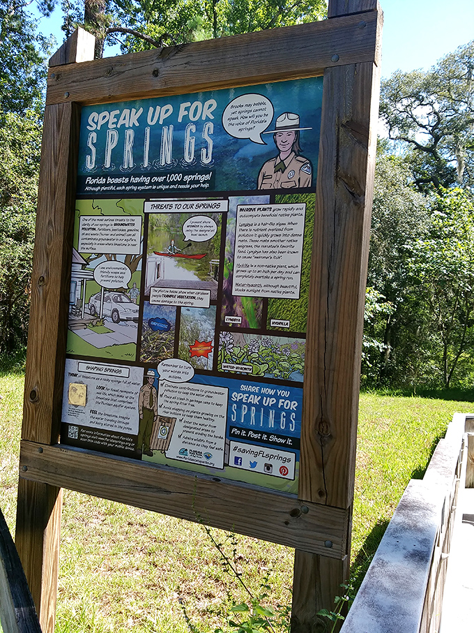 Conservation education never looked so engaging. This colorful display reminds us why speaking up for springs matters&mdash;these blue jewels need defending.