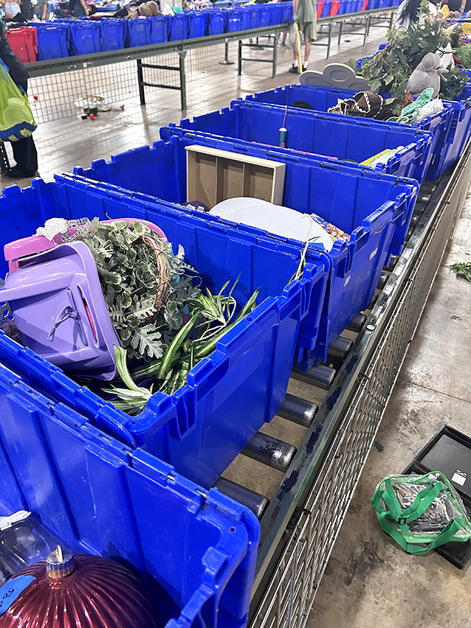 Rows of blue bins stand like sentinels guarding potential treasures. The artificial plants might be fake, but the savings are gloriously real.