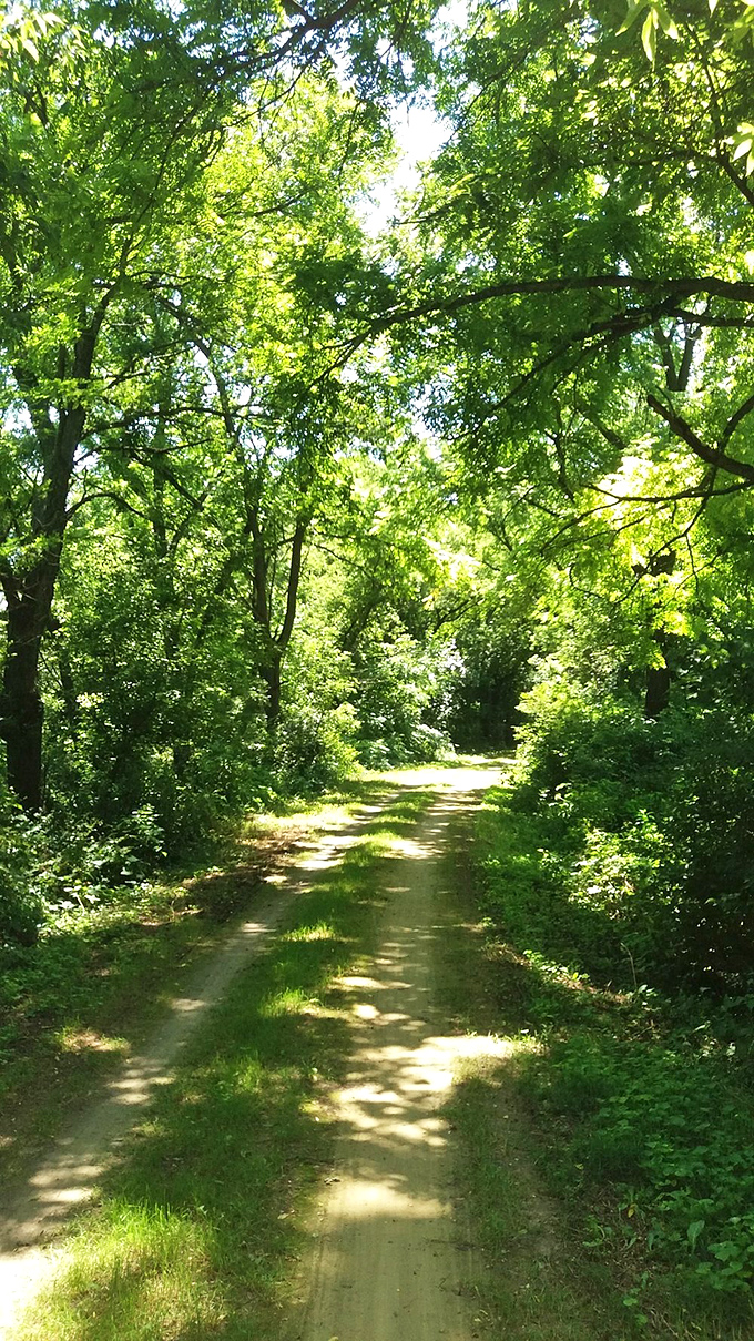 Nature's air conditioning awaits on the Sugar River State Trail, where dappled sunlight creates the perfect escape from modern chaos.