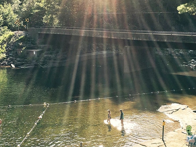 Sunbeams create nature's spotlight on these lucky swimmers. When Pennsylvania summer heat strikes, this swimming hole becomes the neighborhood's coolest club.