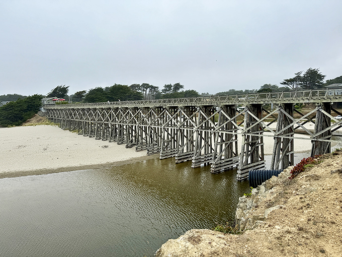 The Pudding Creek Trestle stretches across the landscape like a wooden centipede, connecting past and present with every plank.