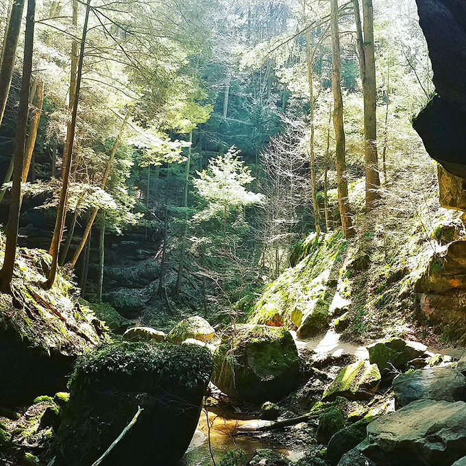 Sunlight streams through this natural cathedral of stone and trees, creating the kind of lighting designers spend thousands trying to replicate in high-end homes.