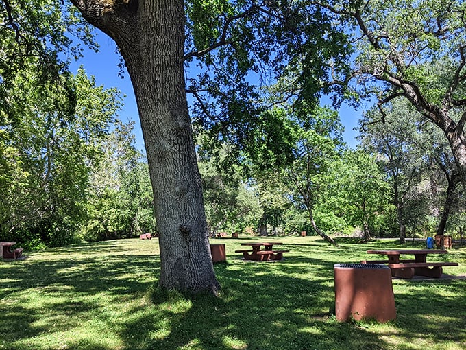Picnic tables dot Upper Bidwell Park's expansive green spaces, offering tranquil respites under majestic oaks where generations have gathered.